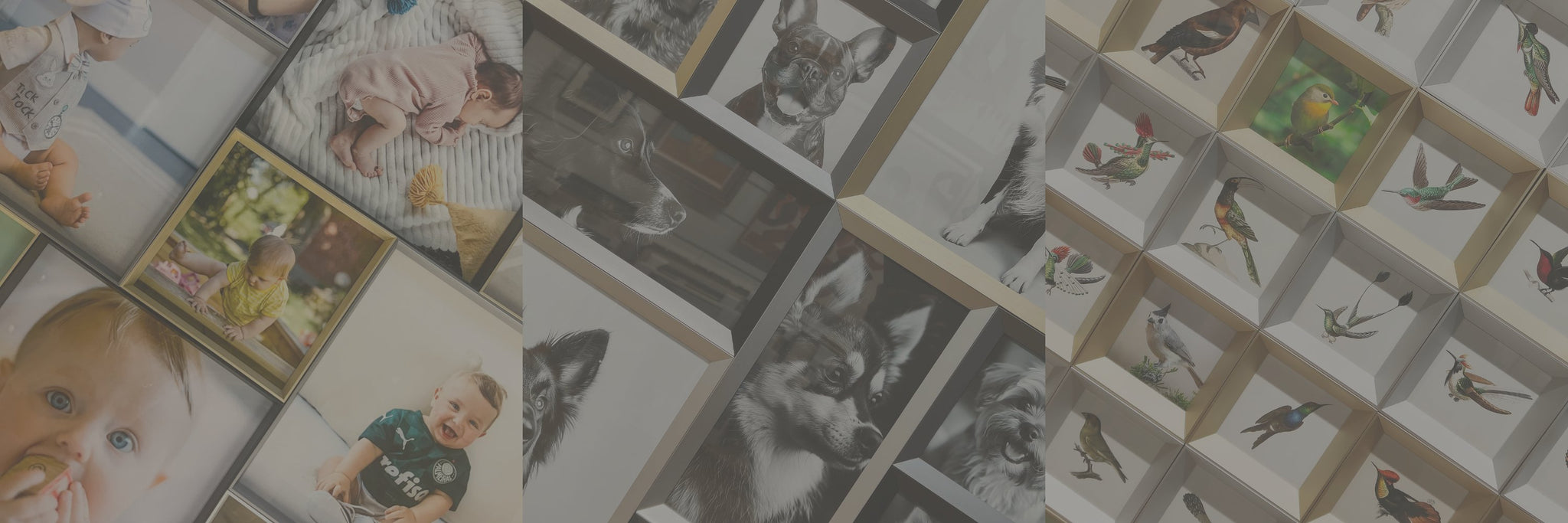 Magnetic Gallery Walls