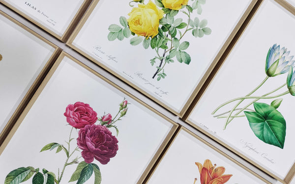 Framebazaar: India's Best Online Photo Printing & Framing Company