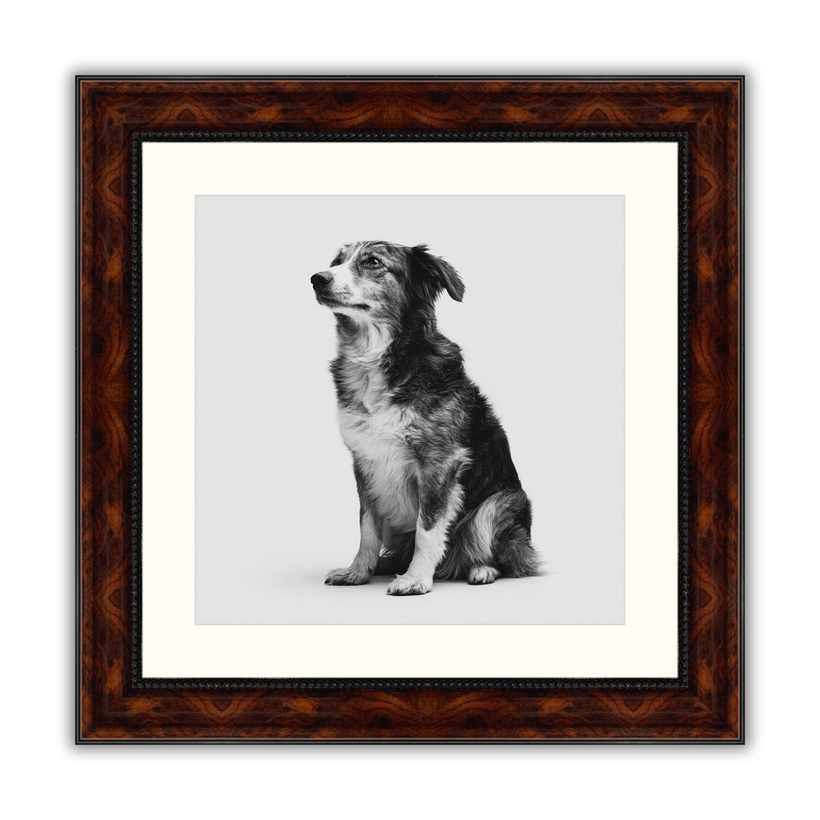 Framebazaar: India's Best Online Photo Printing & Framing Company