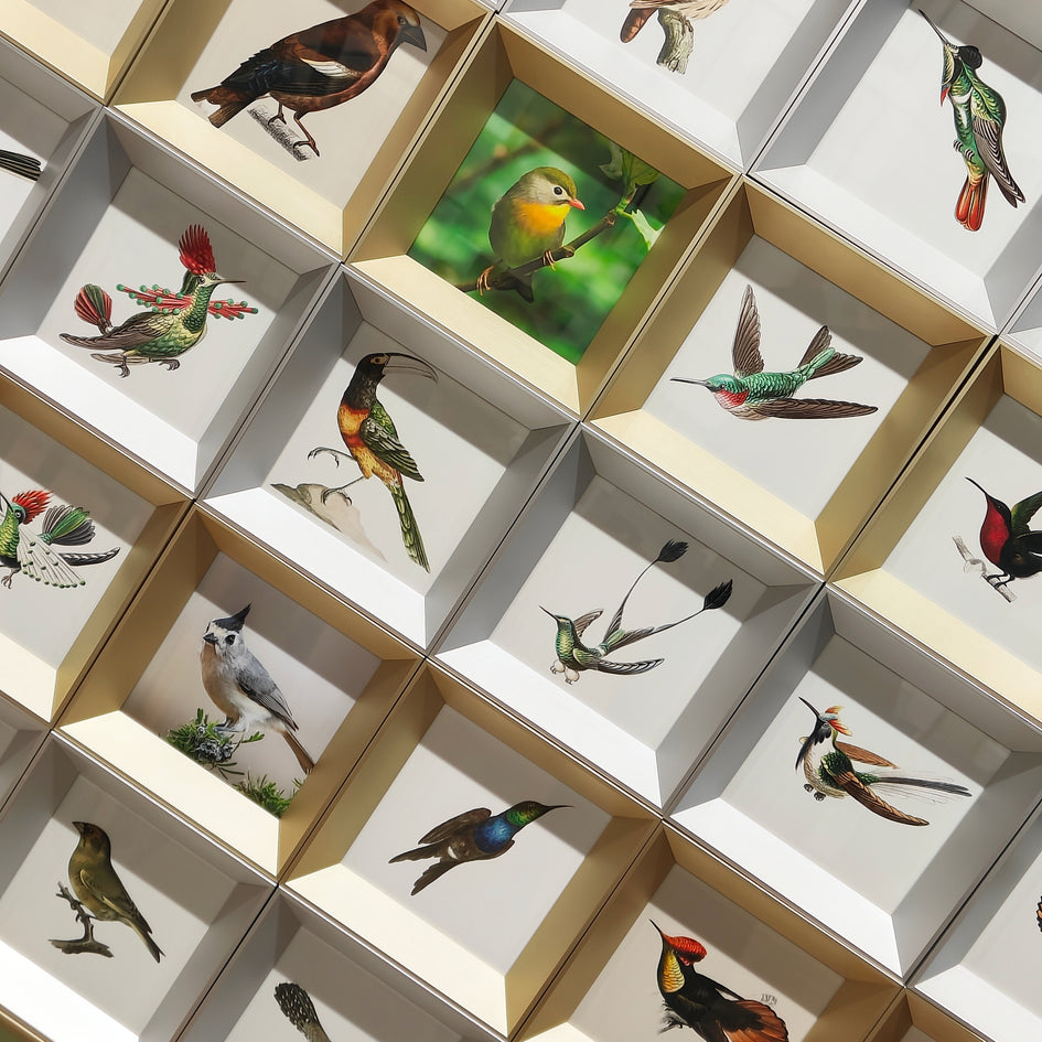 New York Frame - Solid Wood